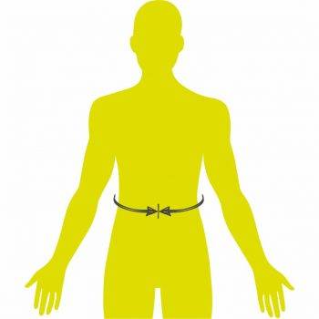 Option B: Körpermaße » WASNI
